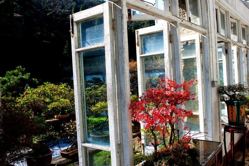 Autumn Window Picture. Image: 7055563