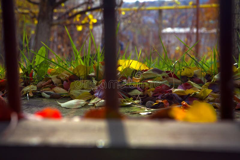 Autumn through the window stock image. Image of background - 121312387