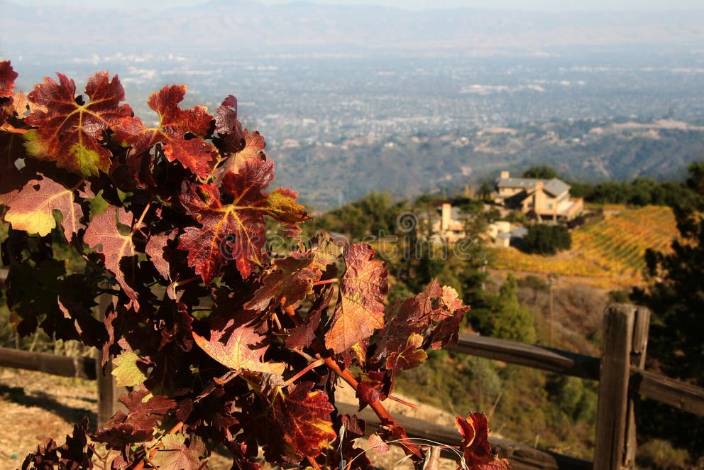 Autumn winery stock photo. Image of organic, outdoor, farmland - 1399718