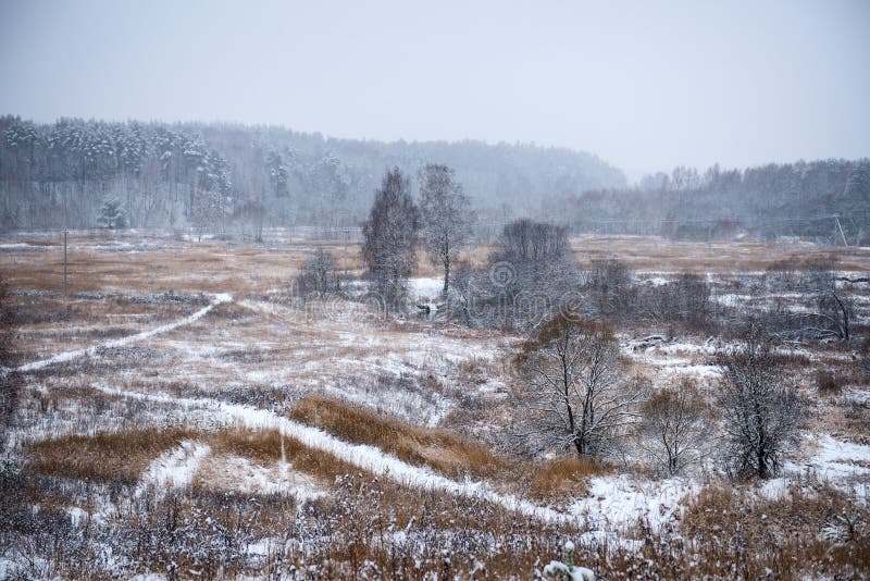 Autumn winter landscape stock photo. Image of nature - 101721250
