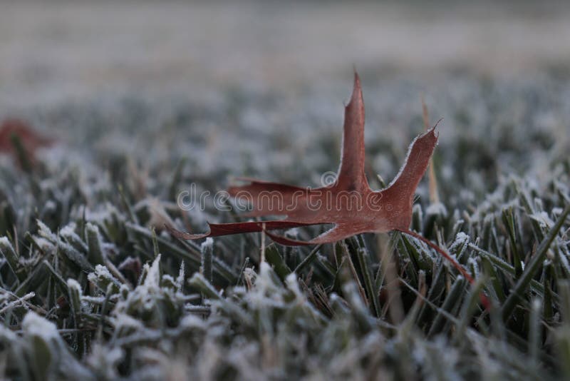 Autumn into winter stock photo. Image of rest, nature - 148831454