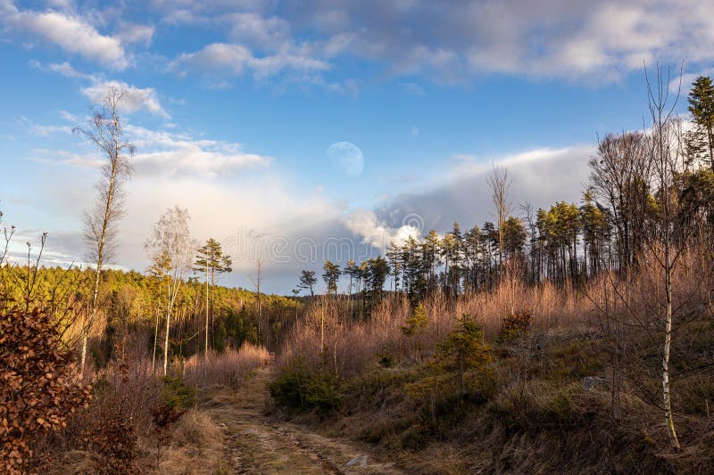 Autumn - Winter Path in Evening Forest Above Wolf Basin, Moon on Sky ...
