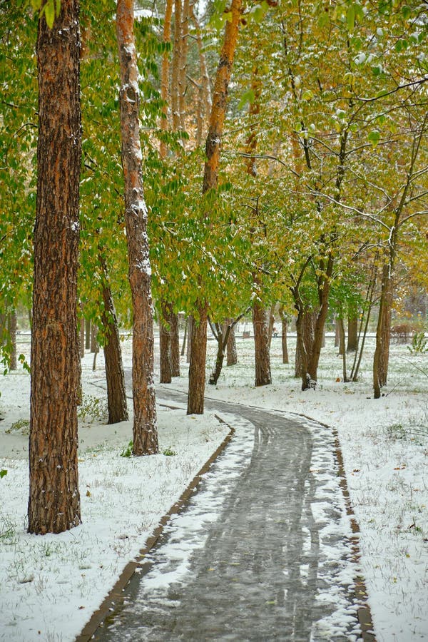 Autumn Winter Snow Park View. First Snow in Autumn City Stock Image ...
