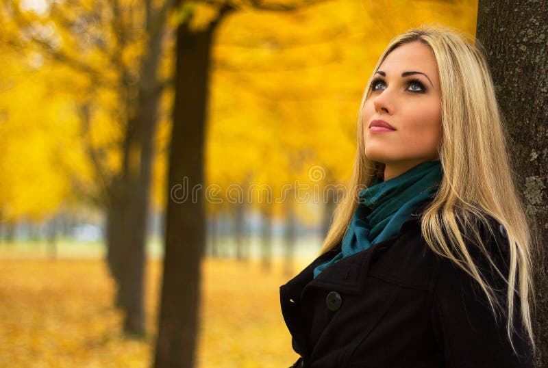Autumn woman portrait stock photo. Image of female, golden - 34326792