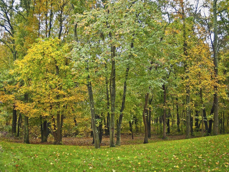 Autumn Wooded Lot stock image. Image of fall, trees, seasons - 23063211