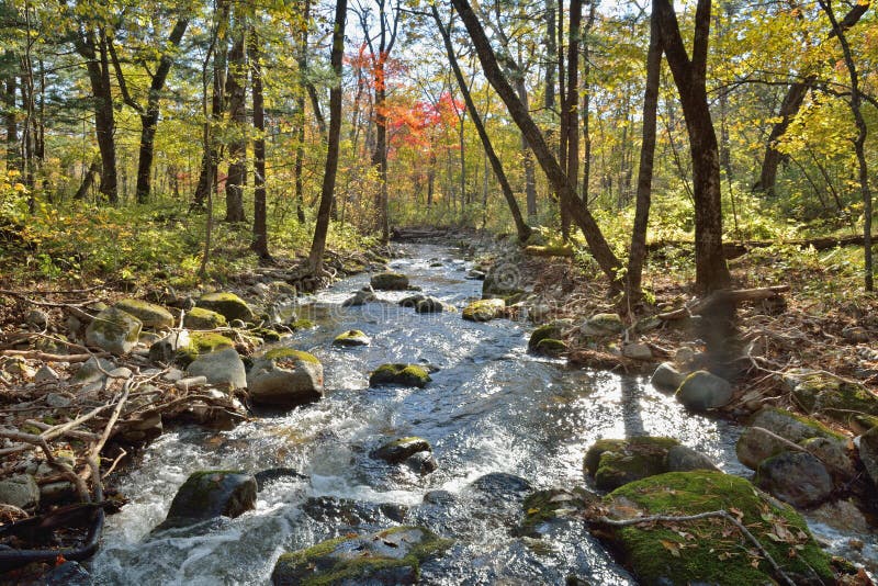 Woodsy river 12 stock photo. Image of scene, fall, nature - 84161544