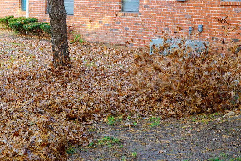 Leaf Blower Red Color Stock Photos - Free & Royalty-Free Stock Photos ...