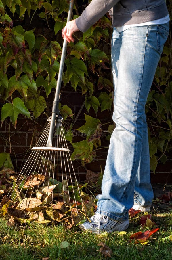 Autumn works in garden stock photo. Image of working - 11639714