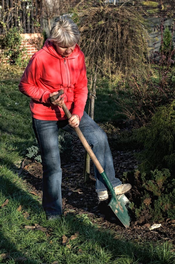 Autumn works in garden stock photo. Image of autumn, leaf - 11640004