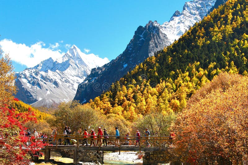The Autumn at Yading Nature Reserve in Daocheng County ,China Editorial ...