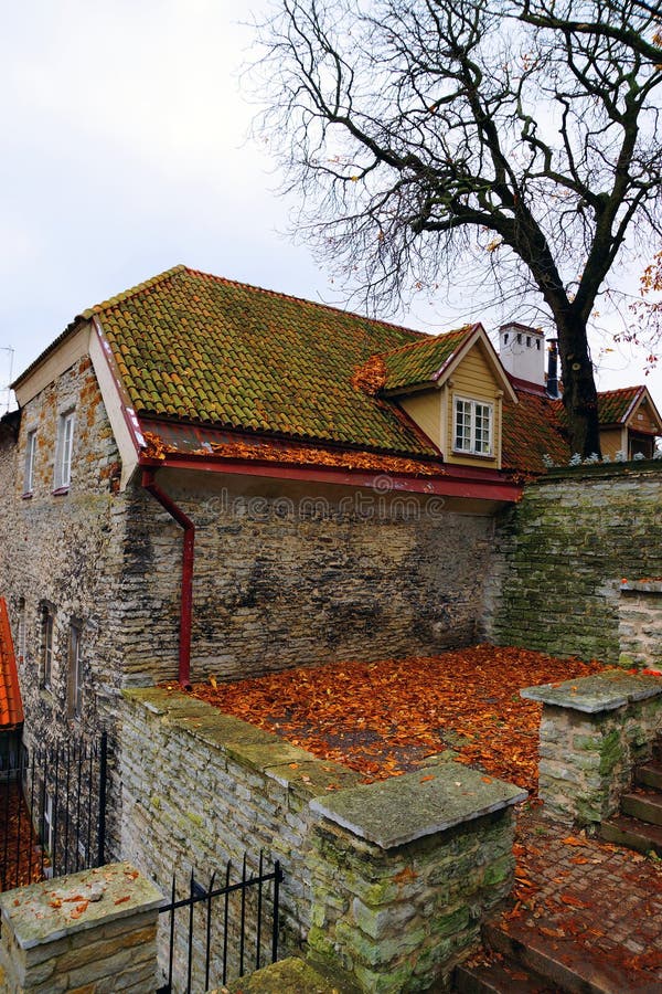 Autumn yard stock photo. Image of autumn, outdoor, colors - 35910846