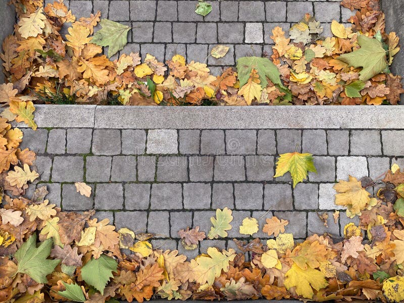 Autumn Yellow Fallen Leaves on the Stone Floor. Autumn Background Stock ...