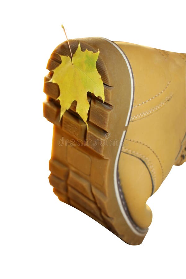 Autumn Yellow Leaf on the Boot, Isolated on White Background Stock ...