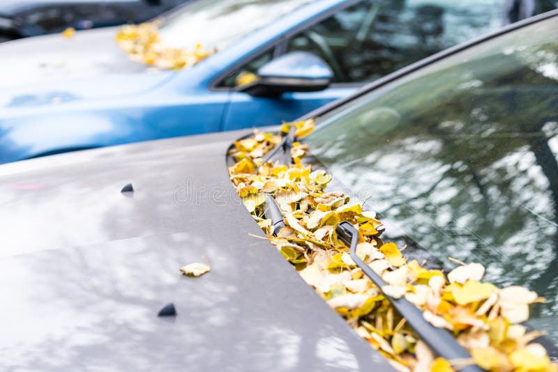 Autumn, Yellow Leaves Fall Under the Car. Stock Photo - Image of ...