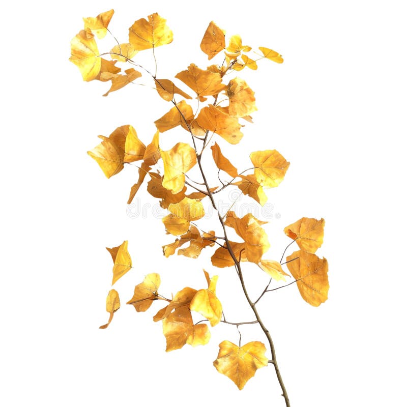 Autumn Yellow Leaves on White Background Render Ultra, Generative AI ...