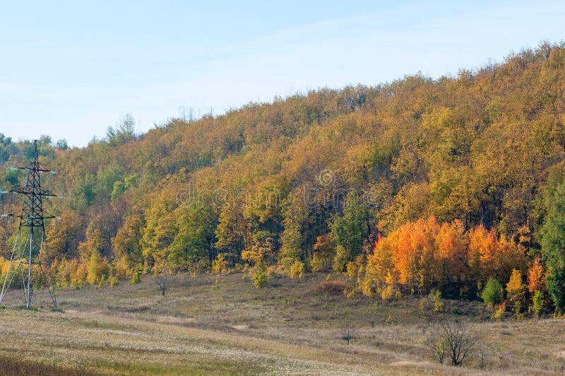 Autumn Yellow Trees Foothills Stock Image - Image of destination ...