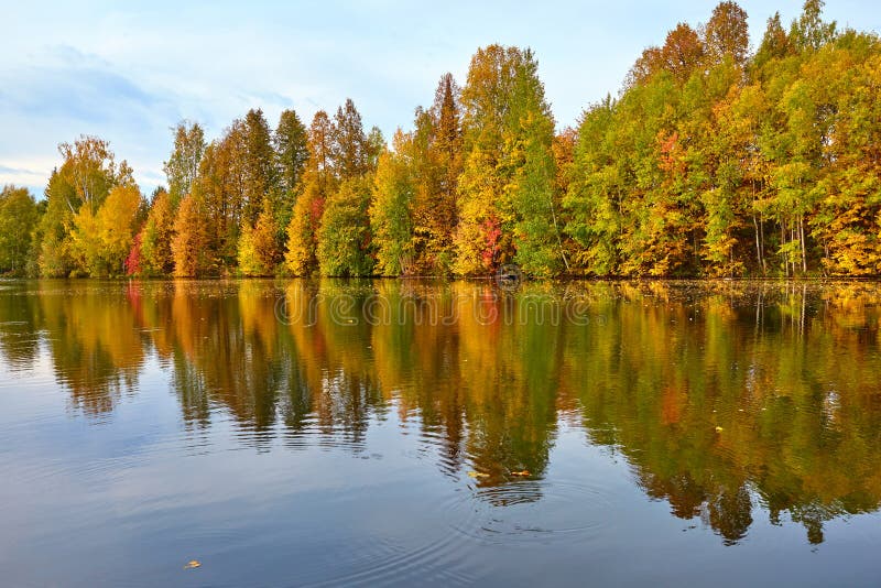 Autumn, Yellow Trees, Water Stock Image - Image of fall, water: 79608835