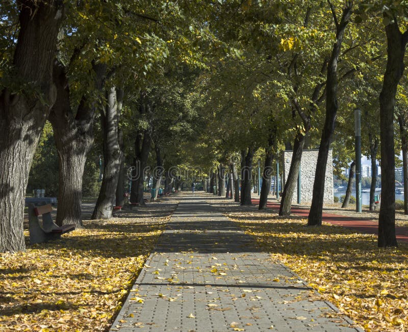Autumn stock image. Image of autumn, park, travel, cold - 78477815