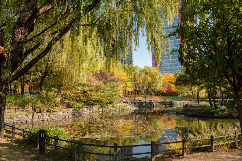 Autumn of Yeouido Park in Seoul, Korea Stock Photo - Image of beautiful ...