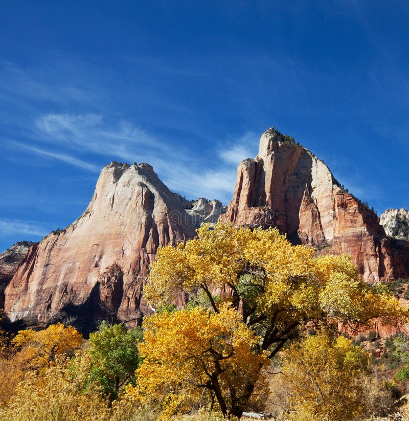 Autumn in Zion stock photo. Image of tree, country, natural - 54157280