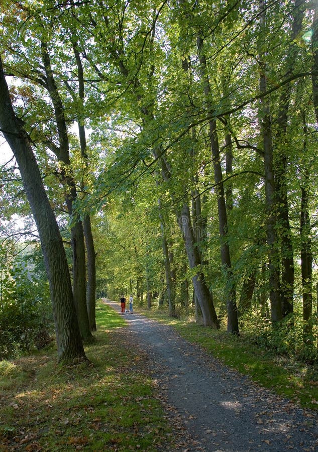Autumnal alley stock photo. Image of seasonal, natural - 4703514