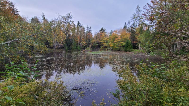 Autumnal Beaver Pond Stock Photos - Free & Royalty-Free Stock Photos ...