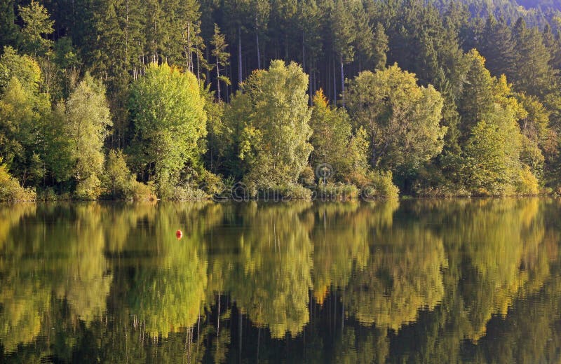 Autumnal Beech Forest, Water Reflection in the Pond Stock Photo - Image ...