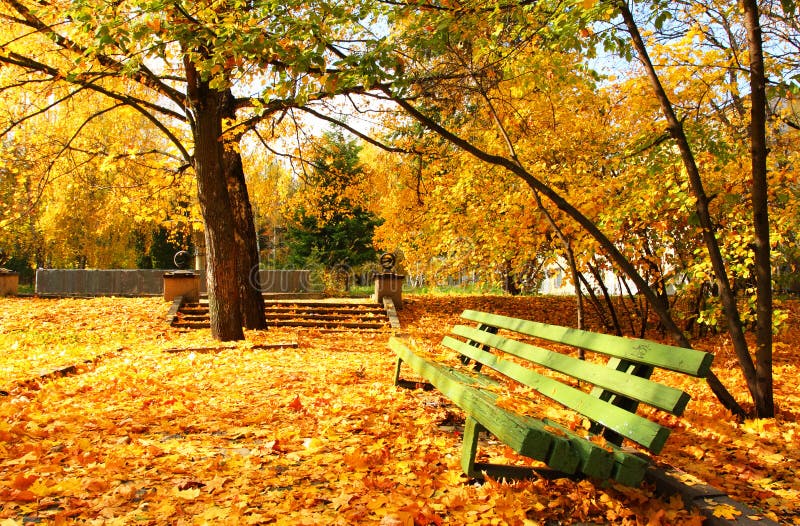 Park in Autumn stock image. Image of forest, garden, color - 3562543
