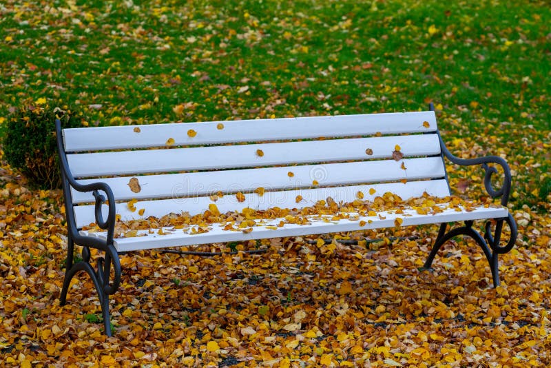 Autumnal Bench in a Park in Autumn Stock Image - Image of autumn ...