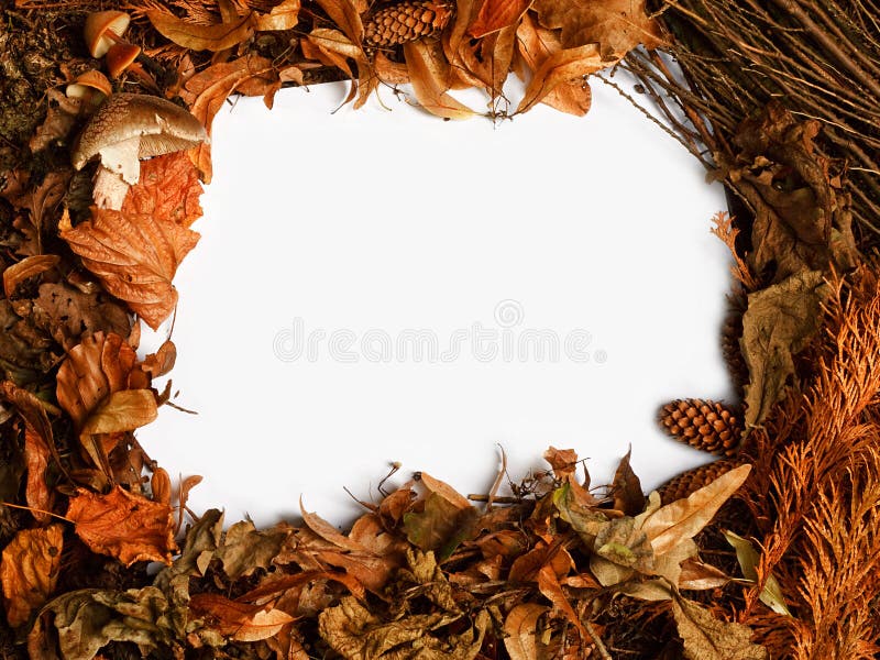 Autumnal border stock photo. Image of collage, golden - 26155556