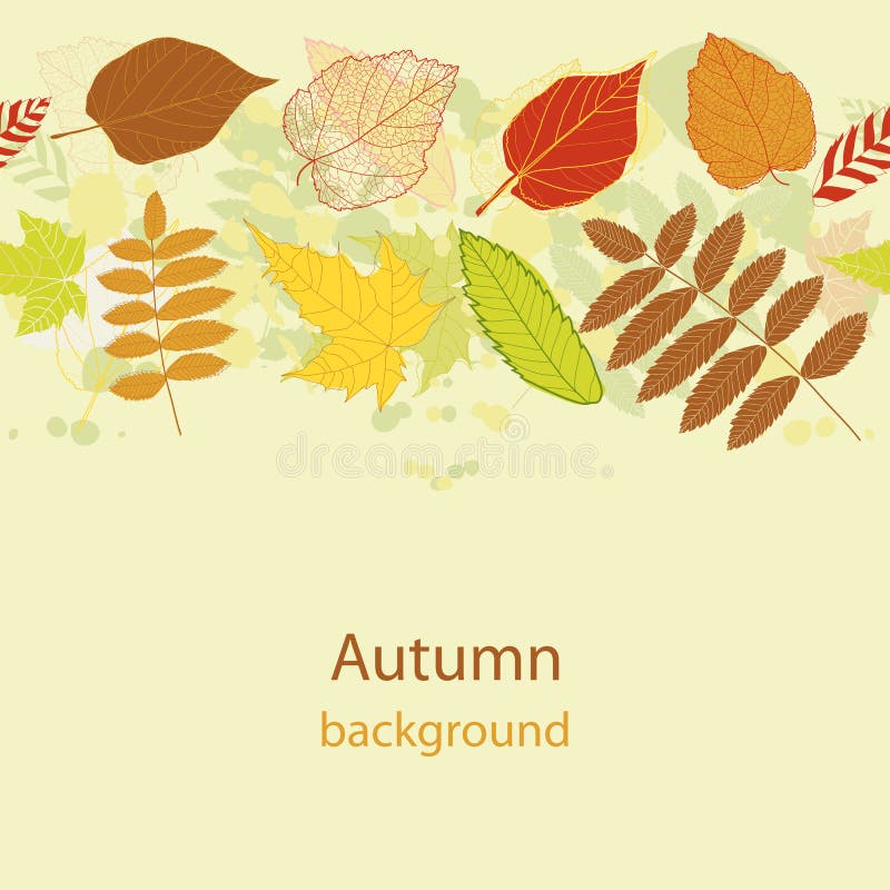 Autumnal Bright Leaf Seamless Vector Stock Vector - Illustration of ...