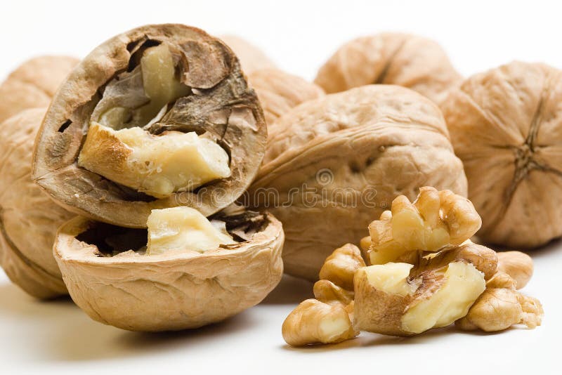 Autumnal Composition with Nuts and Pulp of Nut Stock Image - Image of ...