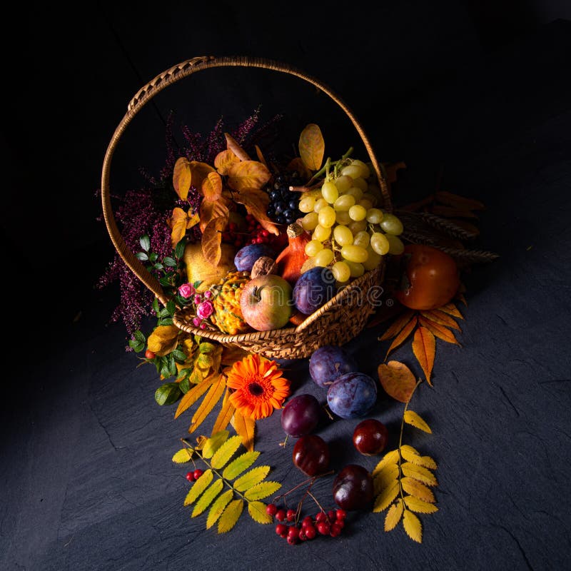 111 Empty Cornucopia Stock Photos - Free & Royalty-Free Stock Photos ...