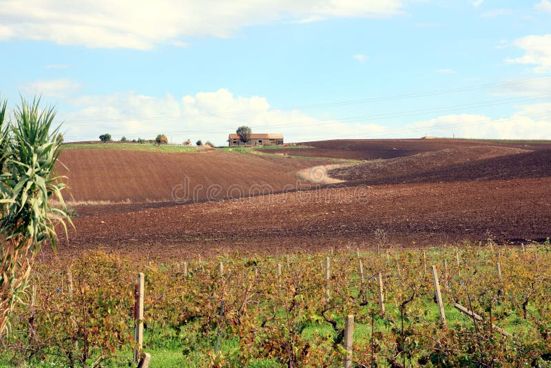 Agriculture, Beautiful, Country, Countryside Picture. Image: 101614094