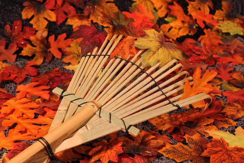 Autumnal decor. stock photo. Image of group, life, objects - 21289558