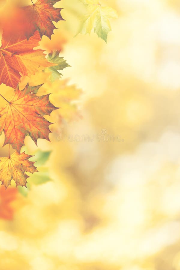 Autumnal Fall. Beautiful Seasonal Backgrounds Stock Photo - Image of ...
