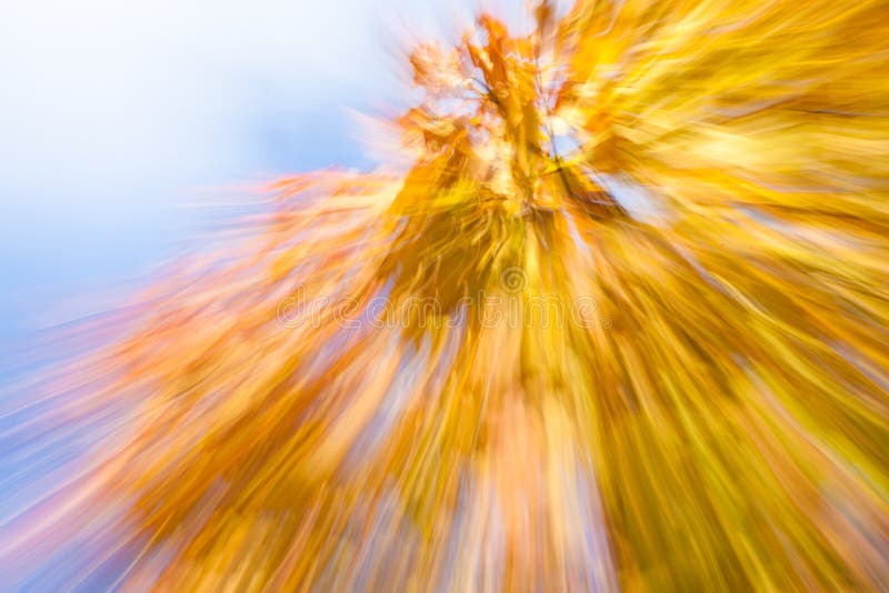 Autumnal fireworks stock photo. Image of autumn, leaf - 34207004