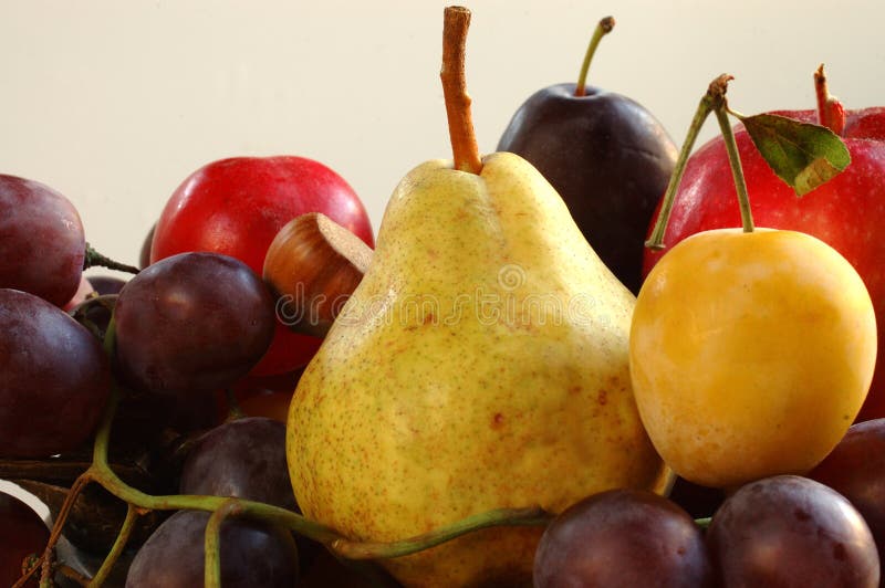 Autumnal fruits stock photo. Image of vitamin, autumn - 1282520