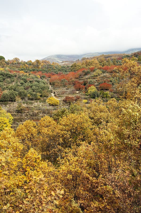 Autumnal Landscape in the Spanish Countryside Stock Image - Image of ...