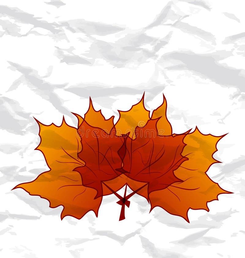 Autumnal Maple Leaves, Crumpled Paper Texture Stock Vector ...