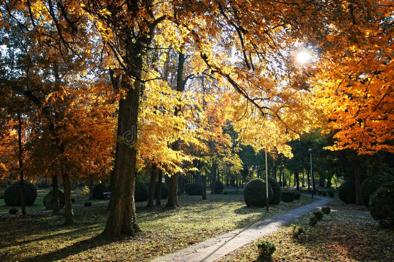 Autumnal mood stock photo. Image of solitude, leaf, fall - 38274376