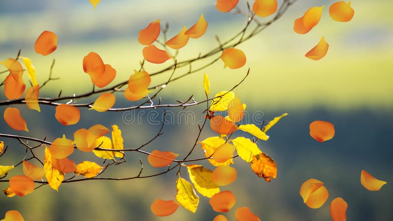 Autumnal Painted Leaves Fluttering in a Soft Wind Stock Video - Video ...