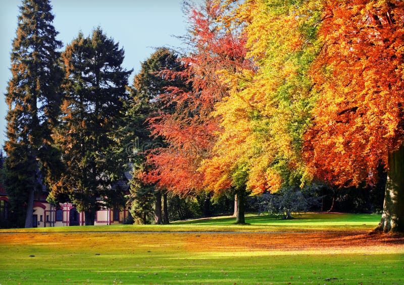 Autumn at Boston Common editorial photo. Image of orange - 264636
