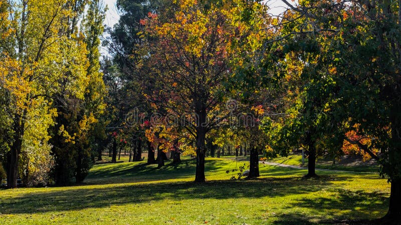 Autumnal Park at Lake Ginninderra, Canberra, ACT Stock Image - Image of ...