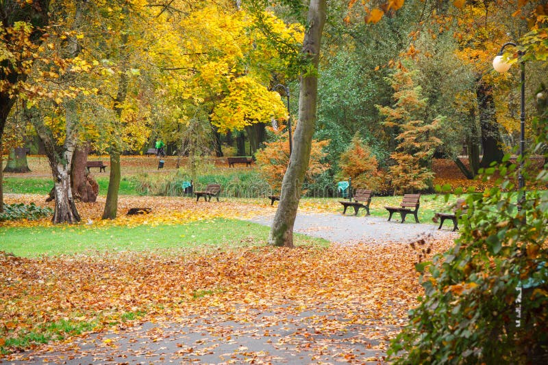 Autumnal Park in October, Footpath with Bench for Relaxation Stock ...