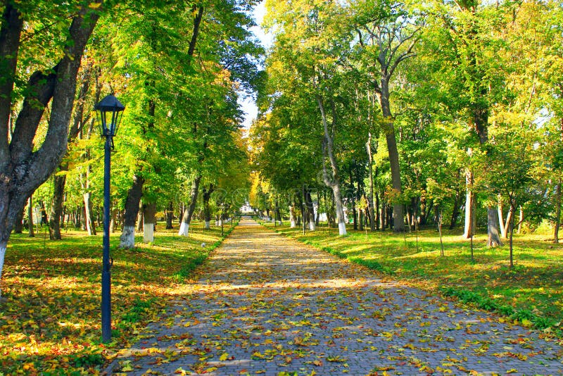 Autumnal Park with Promenade Path and Big Trees Stock Image - Image of ...