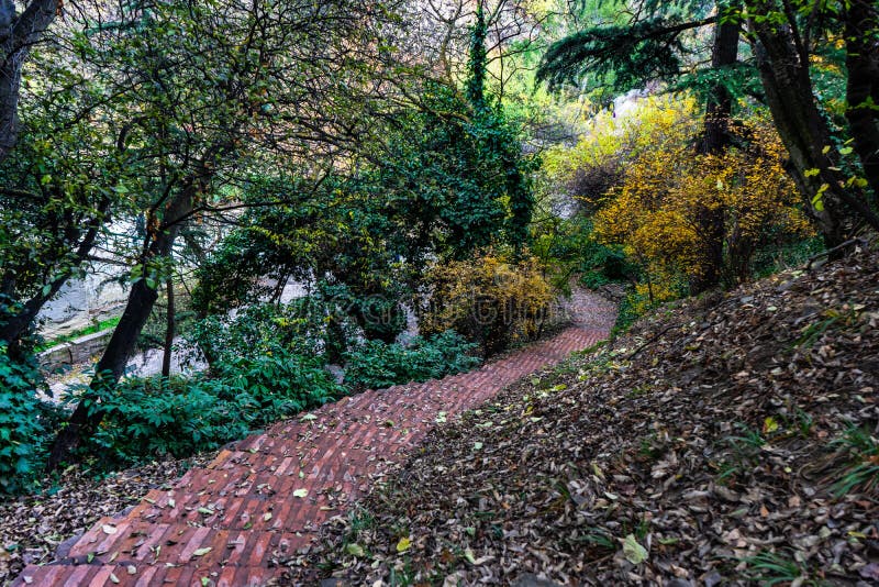 Autumnal path in a park stock photo. Image of mountain - 165974792