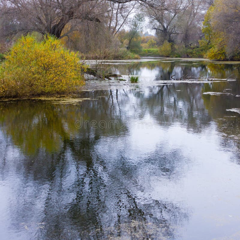 Sad Landscape Stock Photos - Download 17,380 Royalty Free Photos