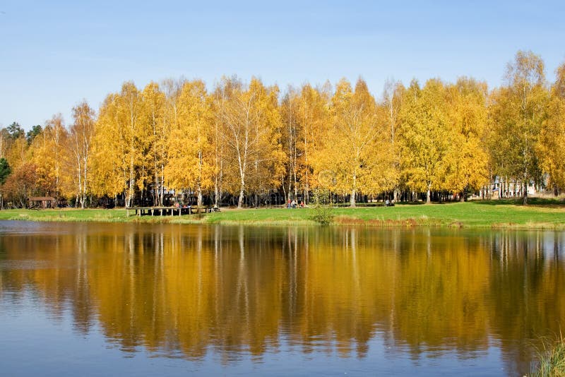 Autumnal scene stock photo. Image of seasons, nature - 10867412