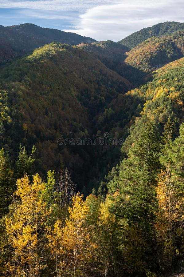 An Autumnal Valley with Orange, Yellow and Green Trees Stock Photo ...